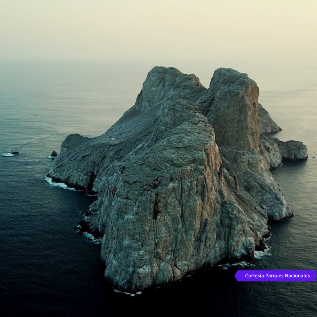 Isla Malpelo entró en la lista mundial de lugares protegidos – LARAZÓN.CO