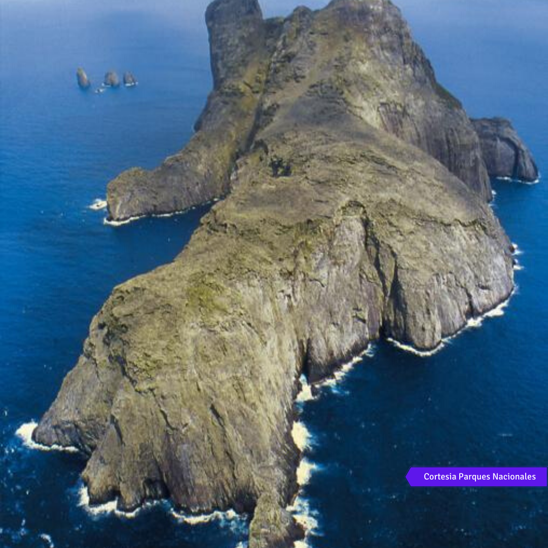 Isla Malpelo entró en la lista mundial de lugares protegidos – LARAZÓN.CO