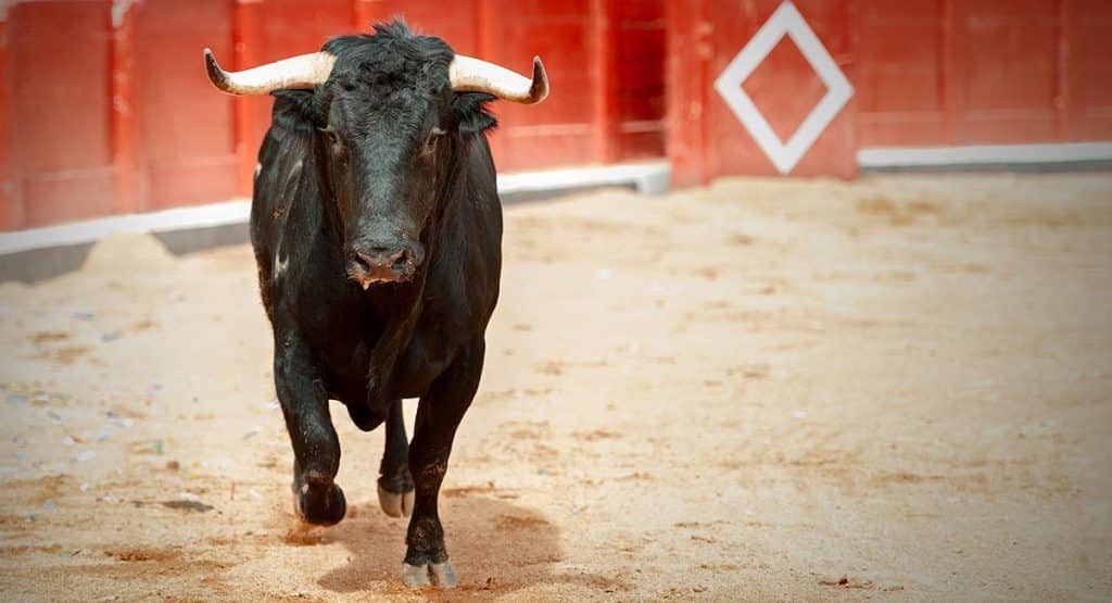 Corridas de toros siguen siendo legales y se prohibirían totalmente en ...