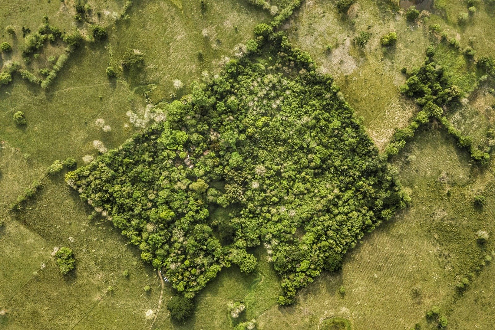 ANT se propone formalizar 23.000 hectáreas de tierra en Córdoba durante ...