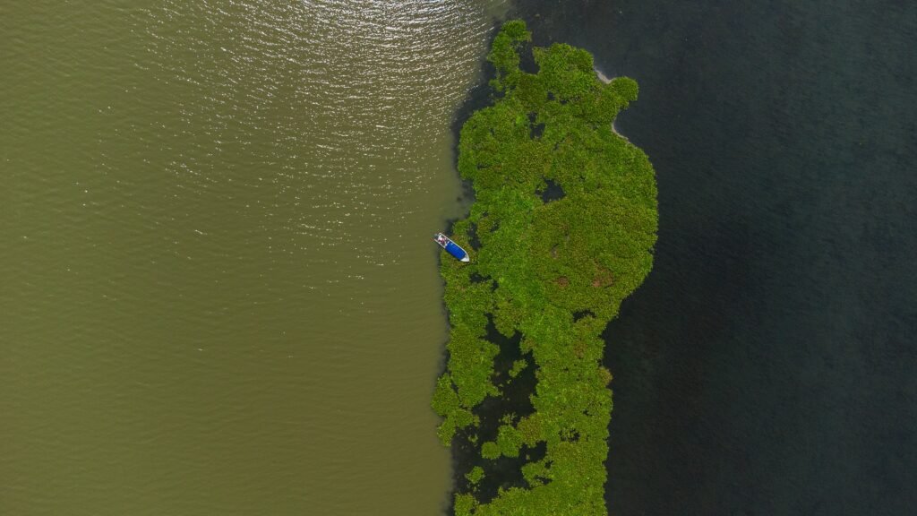 Darién Norte Chocoano fue reconocido como Reserva de Biósfera por parte ...